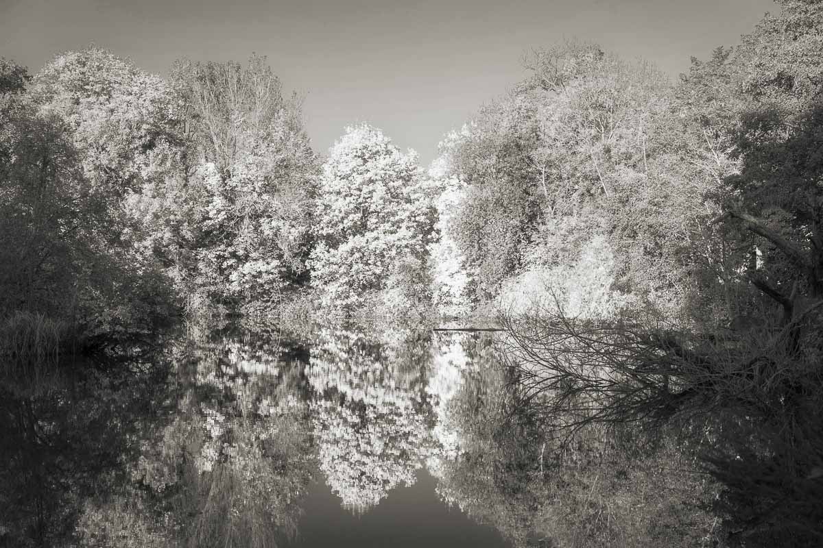 Infrarotbilder durch Fotobearbeitung. Schnell und einfach.