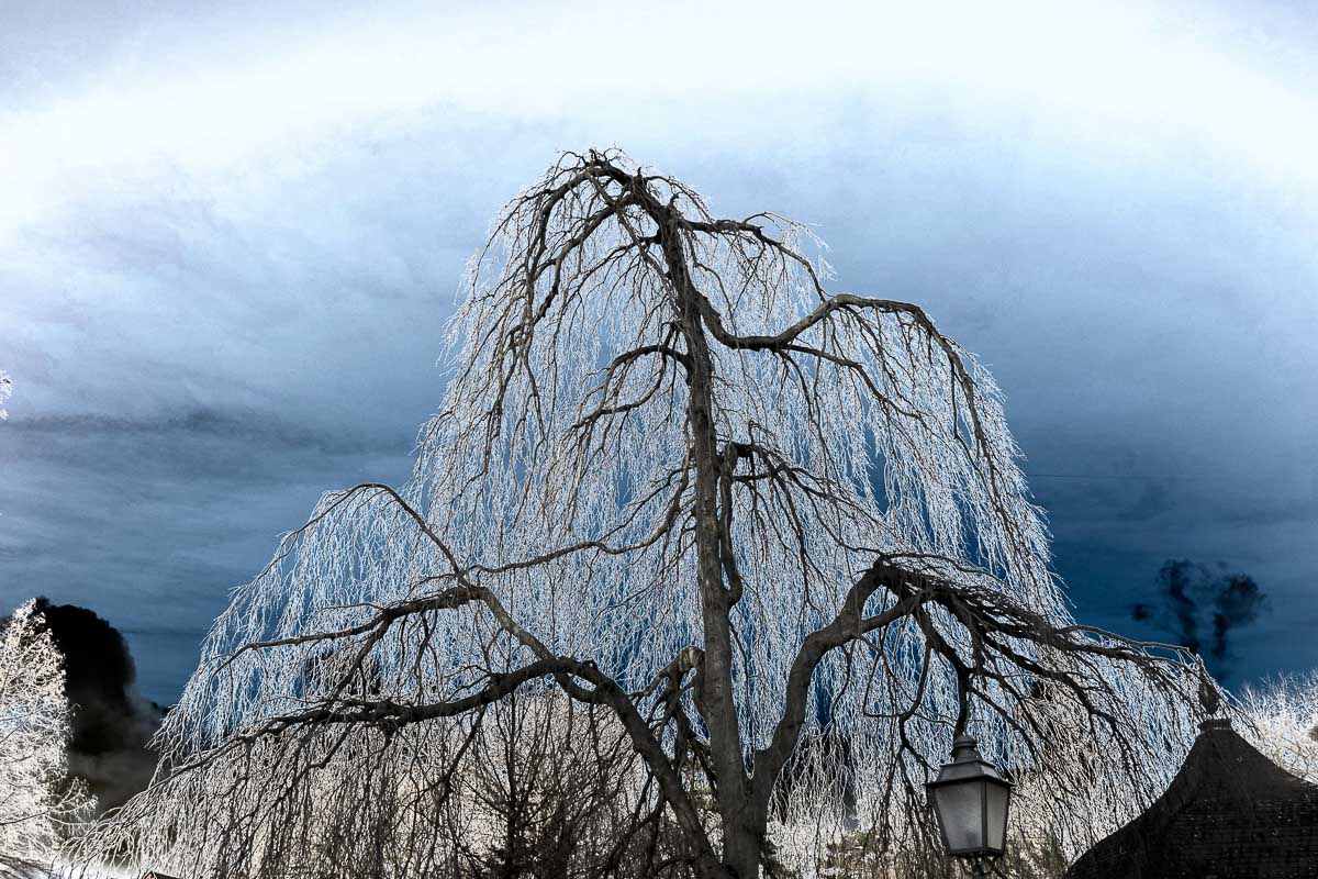Solarisation, Fotoidee und kreative Bildbearbeitung